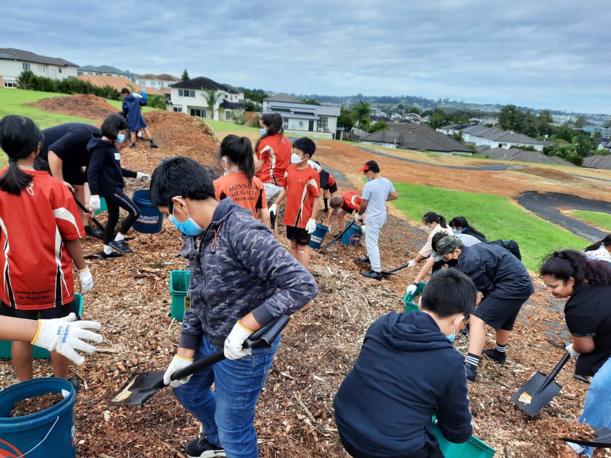 Enviro Schools – Mission Heights Primary School