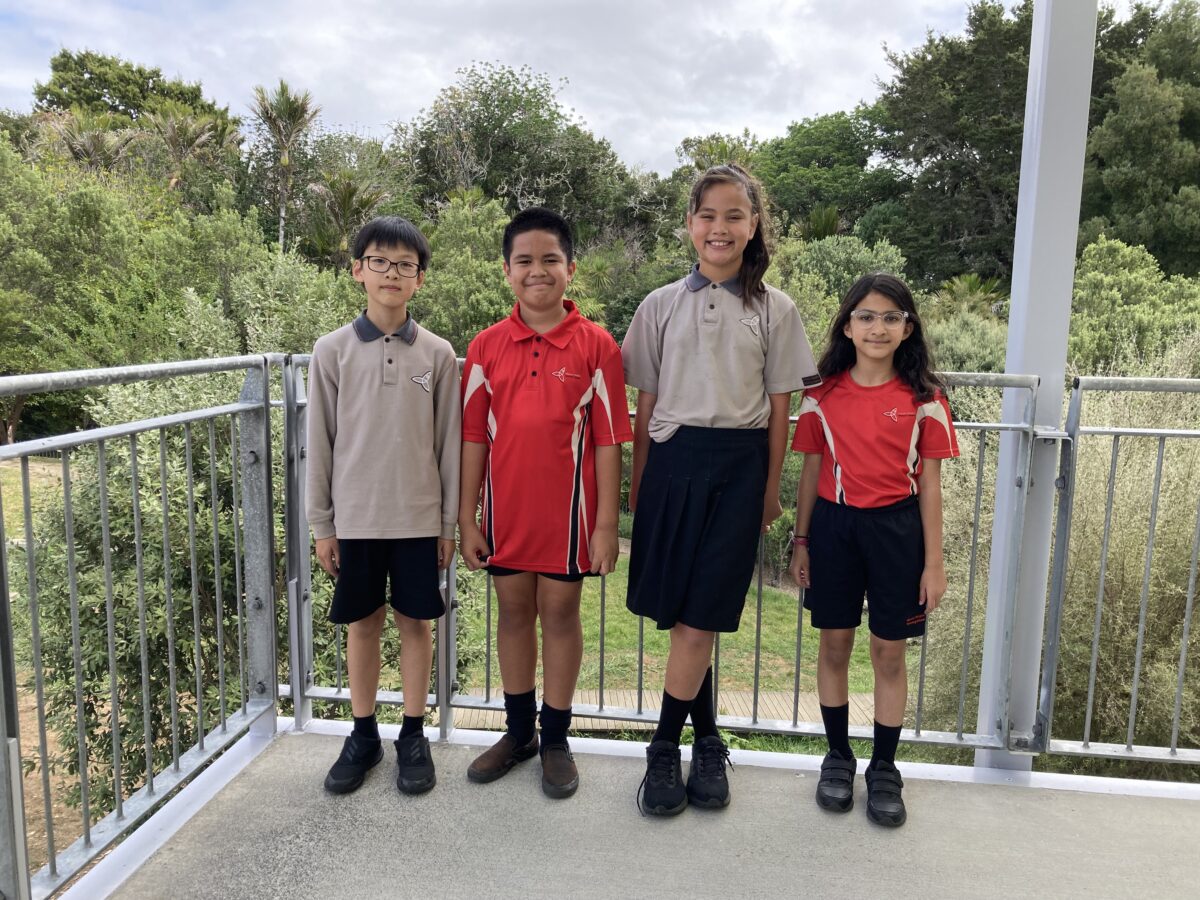 Travelwise – Mission Heights Primary School