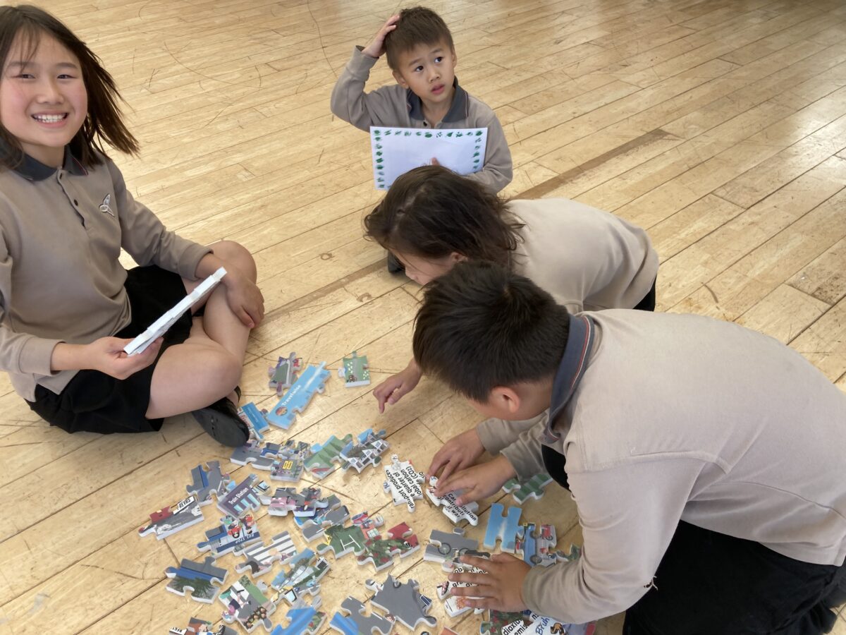 Travelwise – Mission Heights Primary School